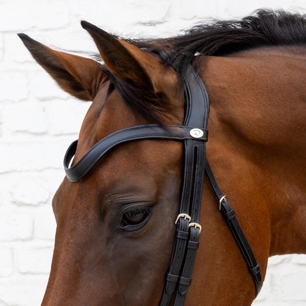 Bridle Medium Noseband Soft Leather | Dy'on | Innovative