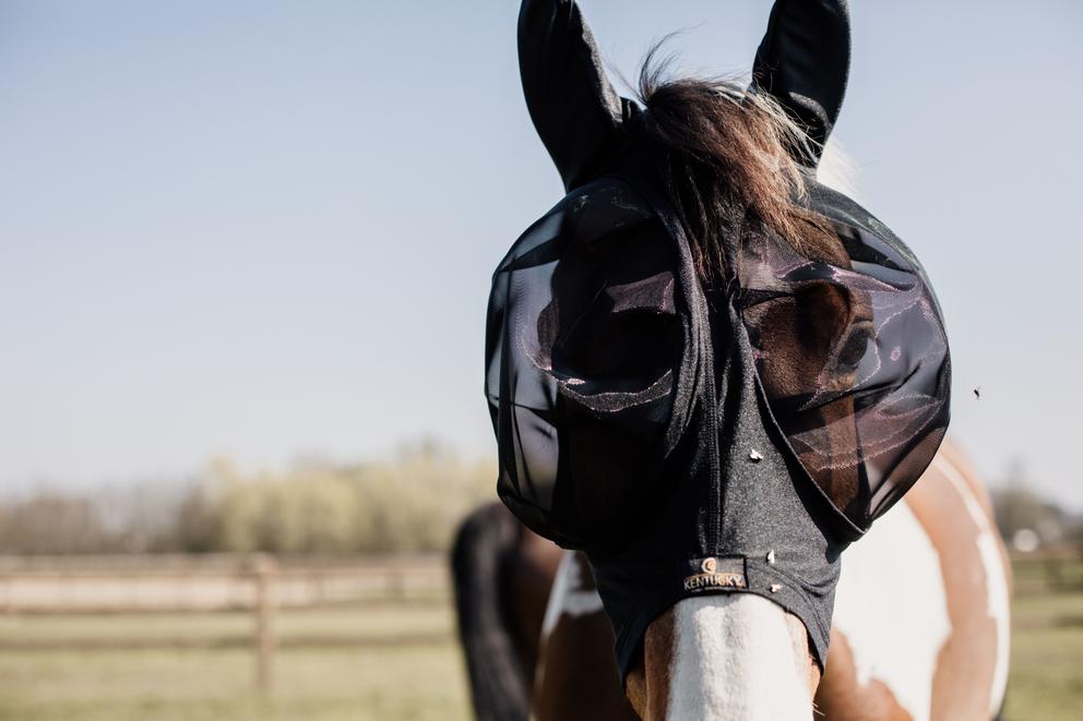 Fly mask slim fit black Cob | COB | Black | 42604-01-COB | Kentucky