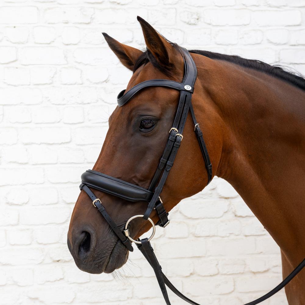 Bridle Medium Noseband Soft Leather | | innovative